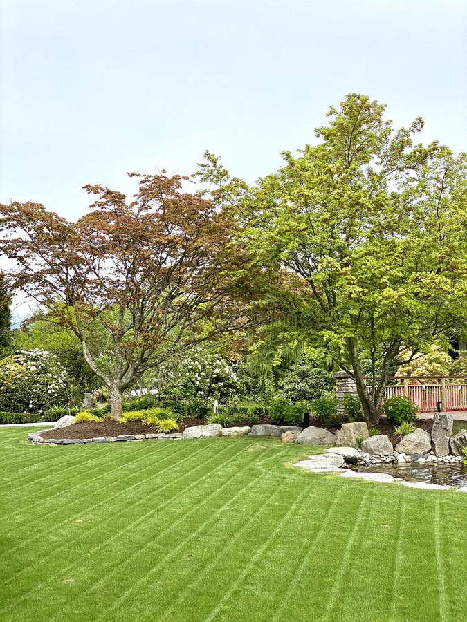 Landscaping maintenance stock photo. Image of landscaping - 217430696