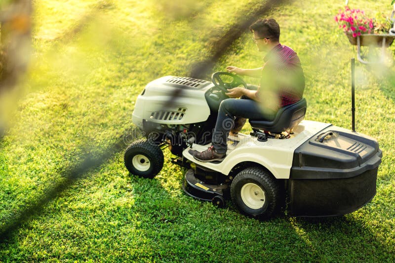 Landscaping with Man Trimming Grass while Using a Lawnmow Stock Image ...