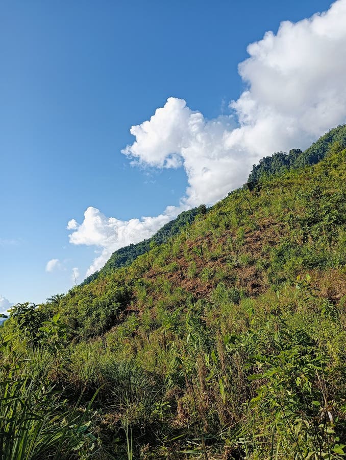 Landscaping, Panorama View Village Camping Green Cloud Clear Stock ...