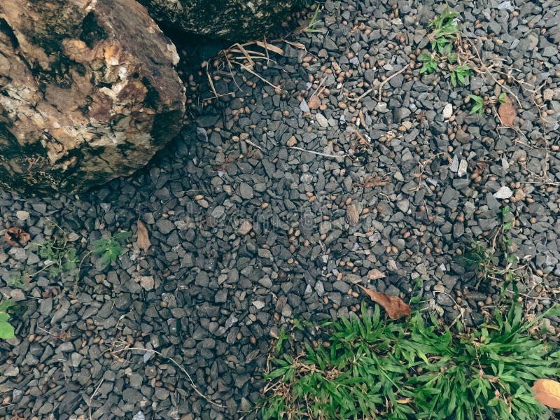 Landscaping Pathway Ground Cover with Rocks Stock Photo - Image of ...