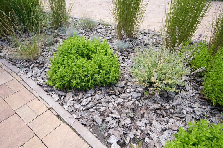 Landscaping with Shrubs and Tree Bark Mulching Stock Photo - Image of ...