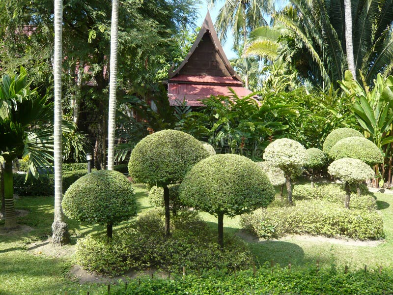 Landscaping with Small Trees. Stock Photo - Image of grass, trimmed ...