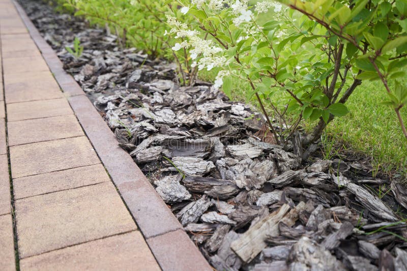 Landscaping Using Tree Bark As Backfill Stock Image - Image of covering ...