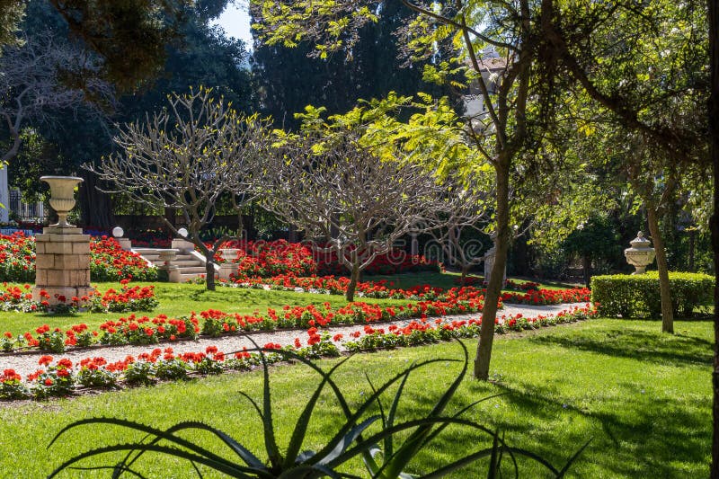 View of a Small Park with Neat Paths, Palm Trees and Geraniums Stock ...