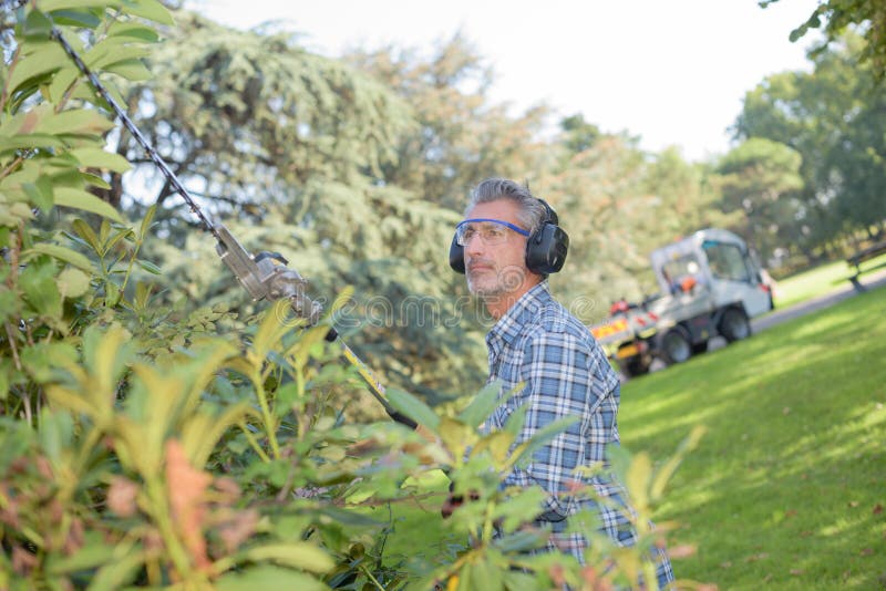 Landscaping Worker Cutting Shrub Stock Image - Image of plants, green ...