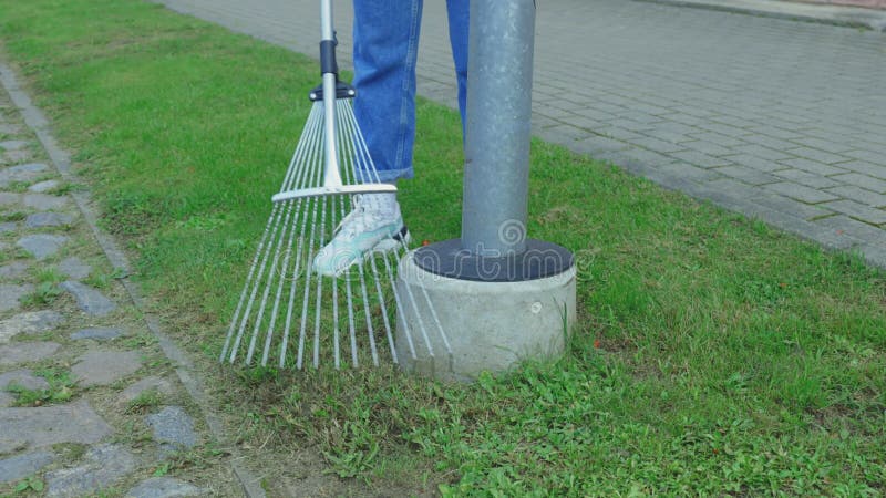 Landscaping Worker with an Unrecognizable Face is Working with a Rake ...