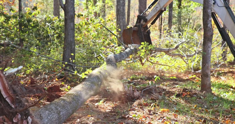 During Landscaping Works with Land Cleared from Roots for Housing ...