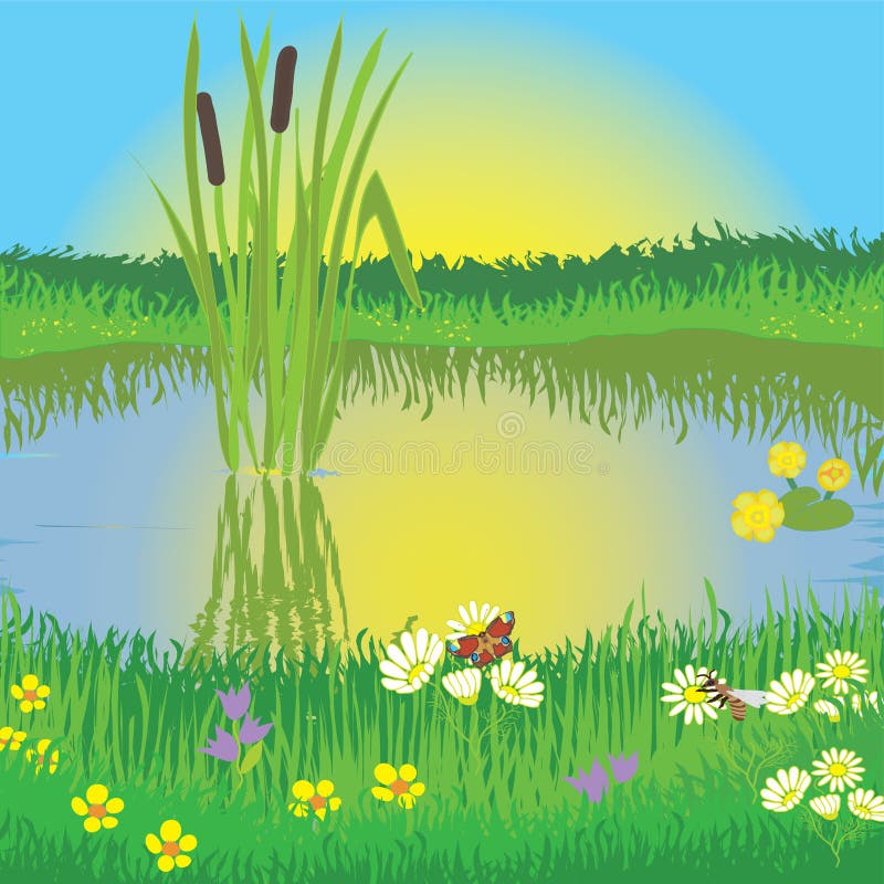 Landschaft Mit Sonnenaufgang, Wiese Und See Vektor Abbildung ...