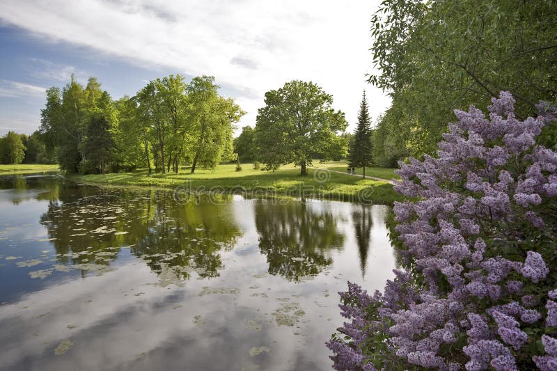 Landschaft Mit Wasser Und Flieder Stockbild - Bild von schön, abend ...