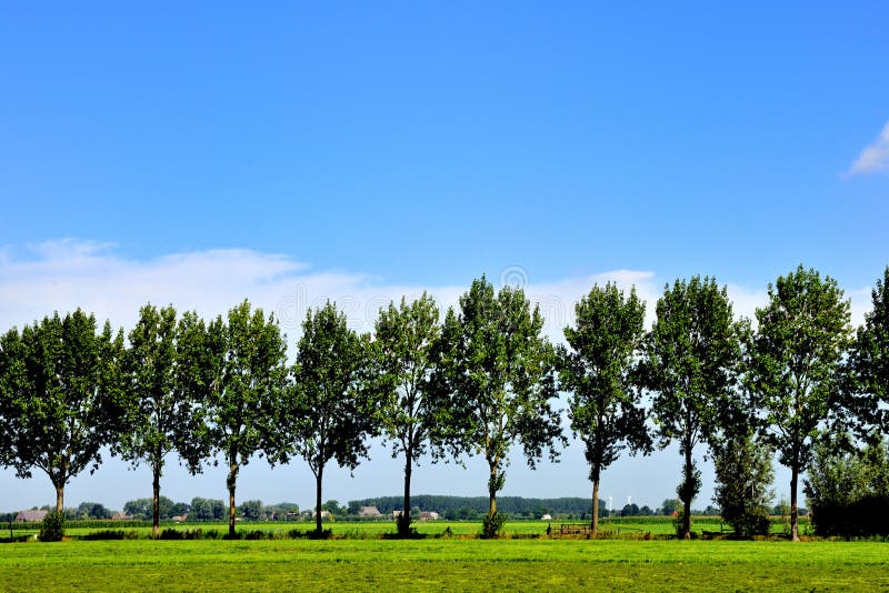 Landschap met bomen stock foto. Image of bomen, landbouwbedrijf - 6244944