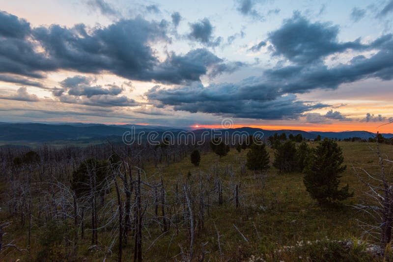 Landschap met dood bos stock afbeelding. Image of koppelen - 125463227