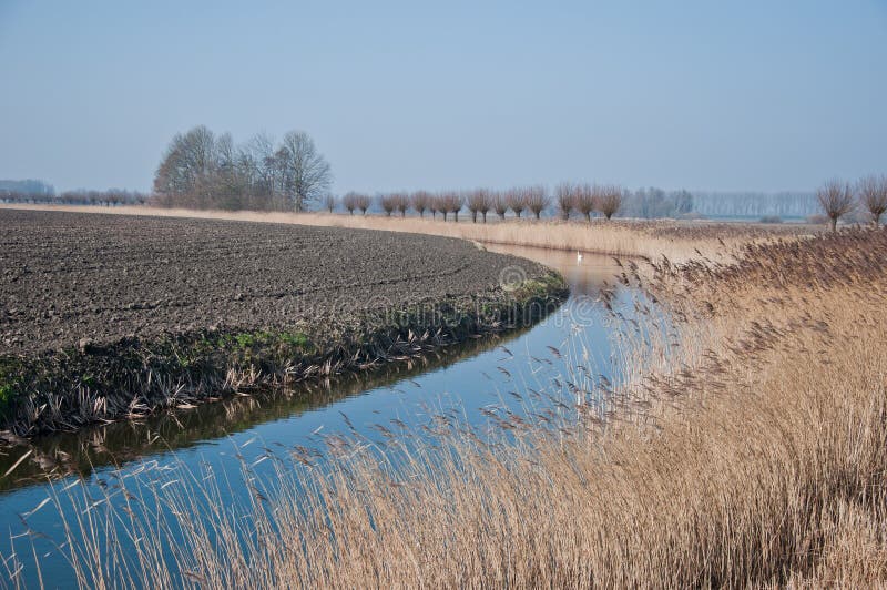 Gebogen Sloot Langs Een Nederlandse Polder in De Wintertijd Stock ...