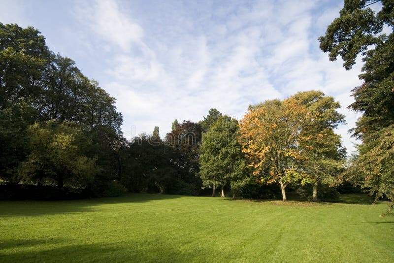 Landschap Met Groene Gras En Bomen Stock Foto - Image of hoek, open ...