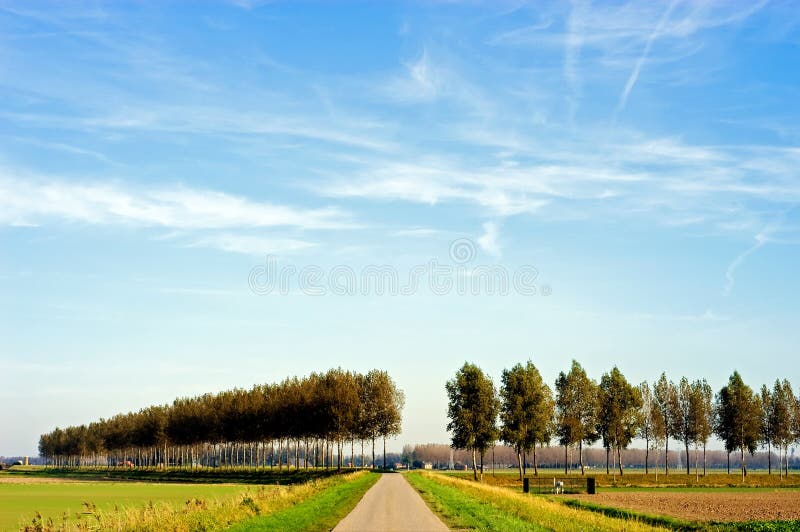 Landschap met populieren stock foto. Image of landbouw - 5874992