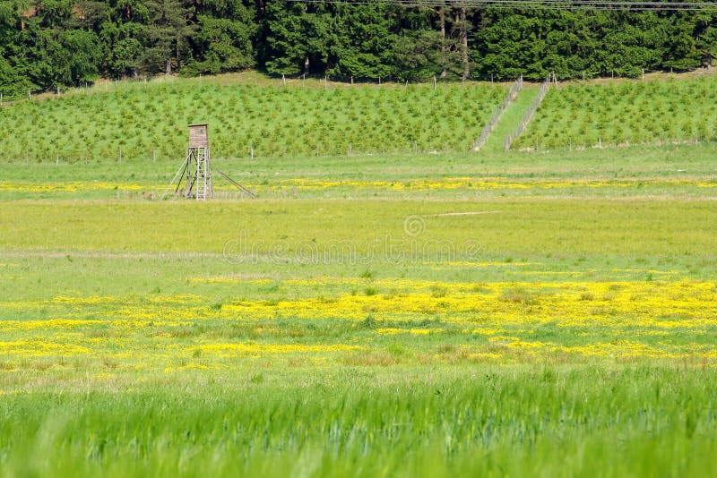 Hunting hide stock photo. Image of forestry, european - 9204122