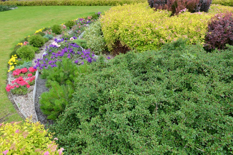 Landskap Med Blommor Och Buskar Fotografering för Bildbyråer - Bild av ...
