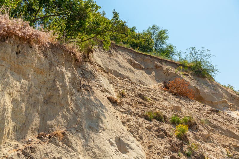 Landslide and Collapse of Sandy Soil on the Shore with Trees and Bushes ...