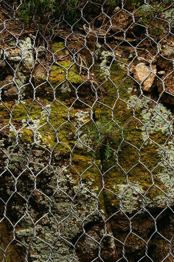 Landslide Containment Fence with a Mossy Wall Behind it Stock Image ...