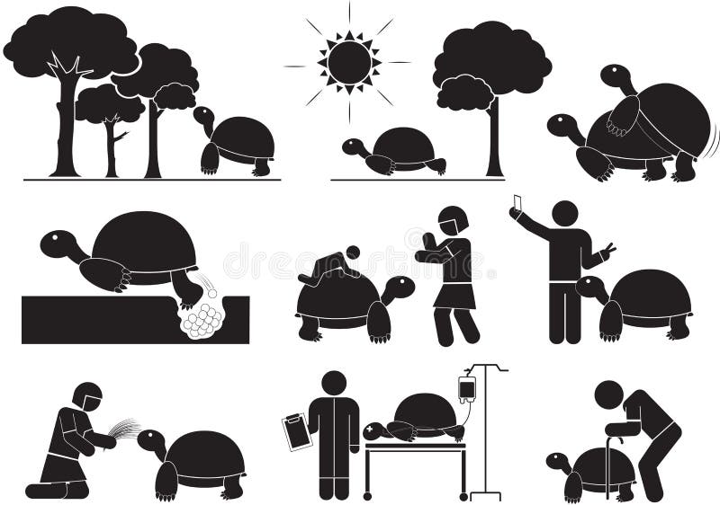 Landturtle stock vector. Illustration of fauna, isolated - 99660867