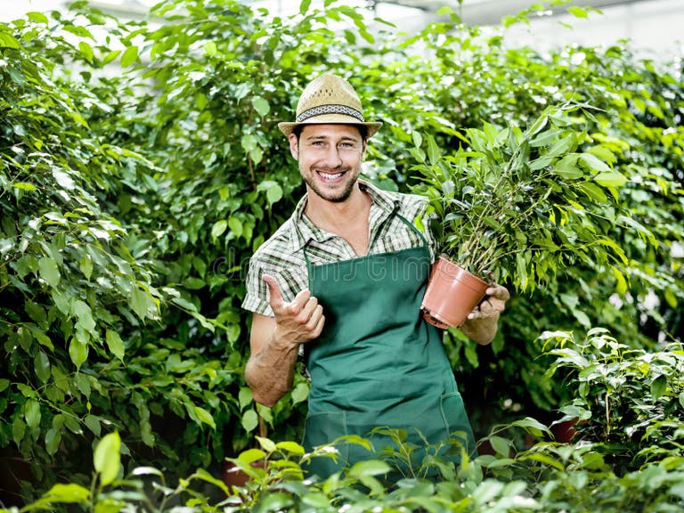 Landwirt bei der Arbeit stockbild. Bild von betrieb, überprüft - 35542143
