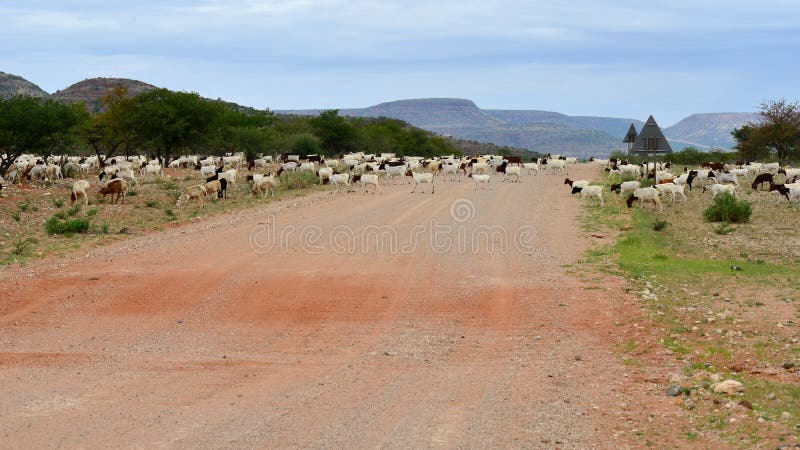 Landwirtschaft in Namibia stockbild. Bild von afrika - 23939673