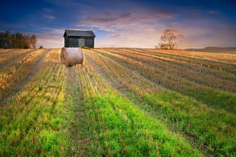 Landwirtschaftliche Landschaft Stockfoto - Bild von rund, geerntet ...
