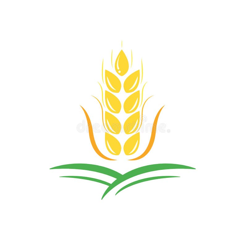 Landwirtschafts-Weizen-Vektor Logo Template Icon Deign Vektor Abbildung ...