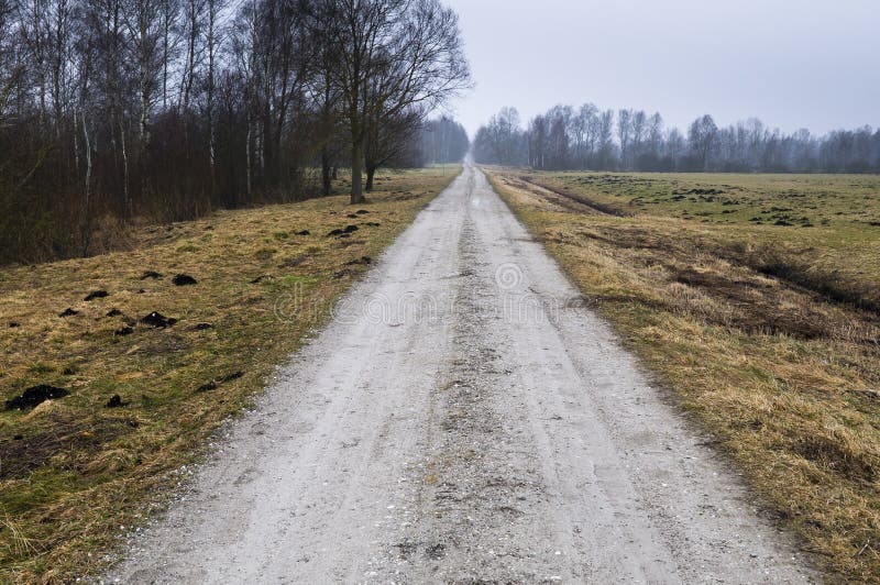 Lane in countryside stock image. Image of lane, distance - 19865477