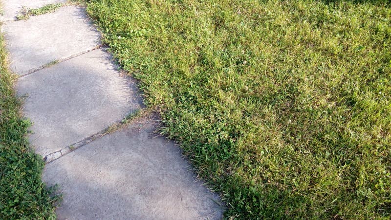 Lane in grass stock image. Image of stones, walkpath - 73231579