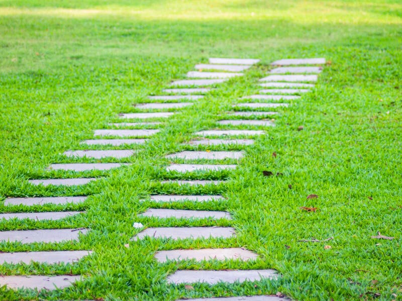 Lane in Meadow.walkway Path in Grass.summer Spring.direction Concept ...