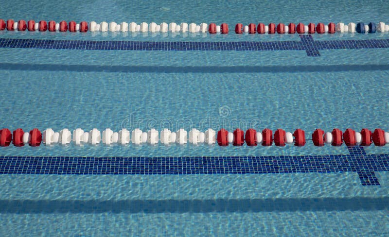 Lines in the pool stock photo. Image of empty, healthy - 203202972