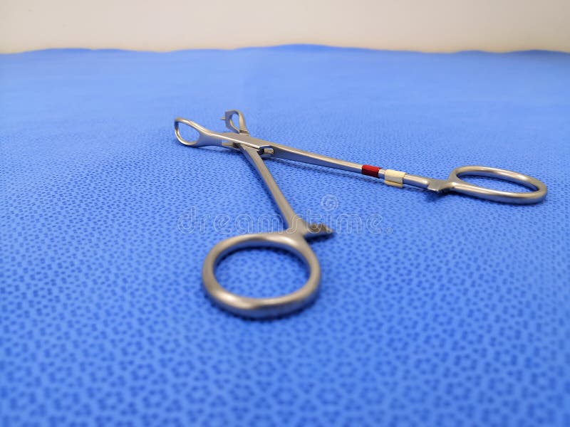 Lanes forceps stock photo. Image of hospital, forceps - 168654052