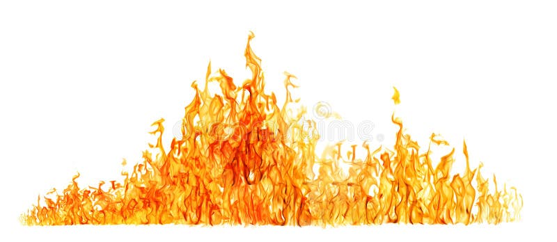 Gele Vlam Zinnia Flower Background Stock Foto - Image of weide ...