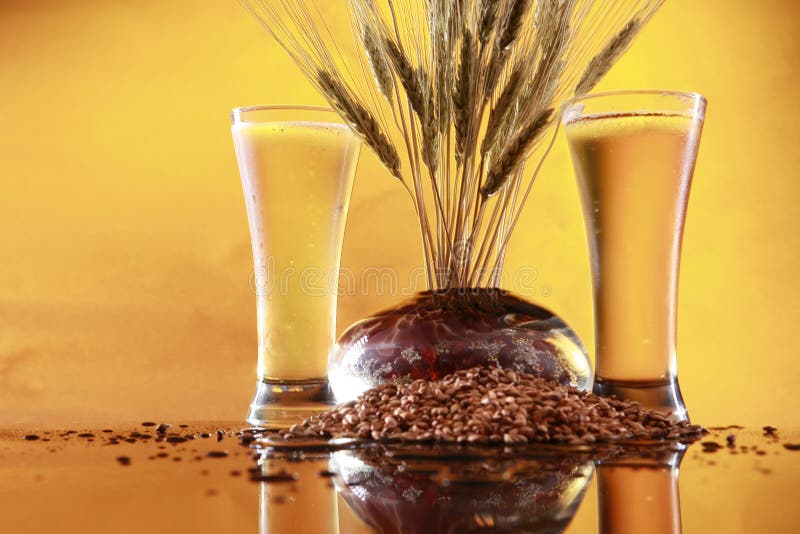 Hoog, Koel Bier, Tarwe En Gerst Stock Afbeelding - Image of kleur ...