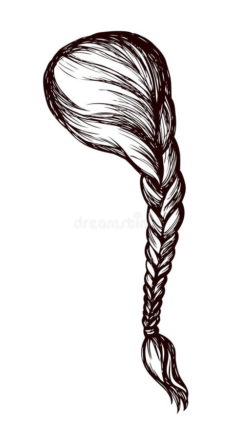 Lange Vlecht Vector Tekening Vector Illustratie - Illustration of ...