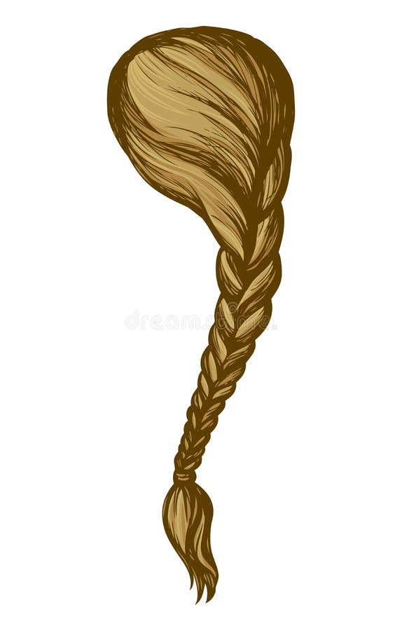 Lange Vlecht Vector Tekening Vector Illustratie - Illustration of ...