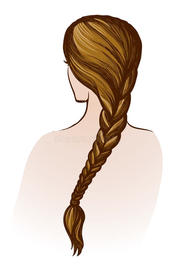 Lange Vlecht Vector Tekening Vector Illustratie - Illustration of haar ...