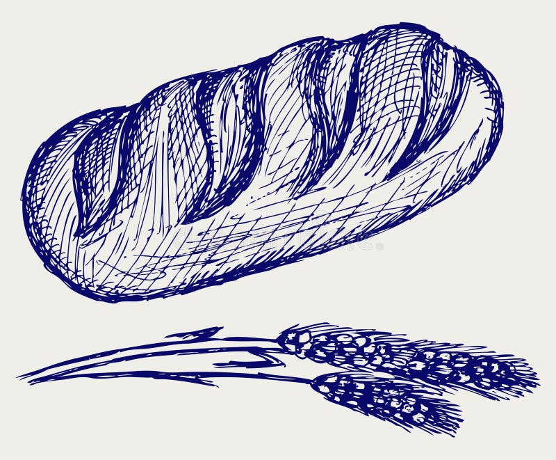Laib vektor abbildung. Illustration von zeichen, frisch - 210845031