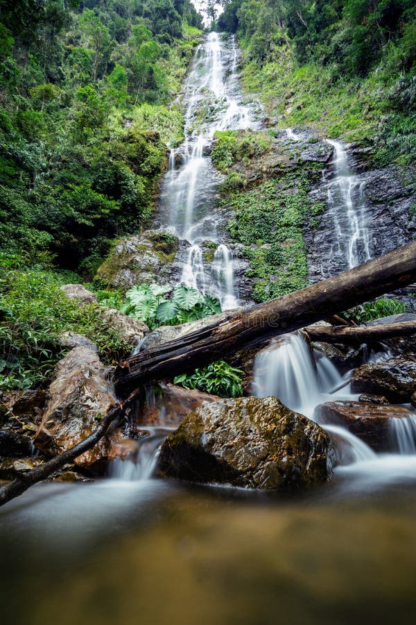 Langganan Waterfall, Poring Ranau, Sabah. Stock Photo - Image of jungle ...