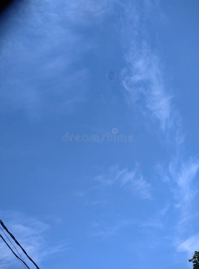 314 Pagi Photos - Free & Royalty-Free Stock Photos from Dreamstime