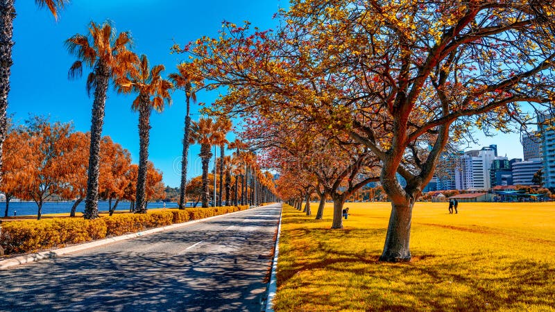 Langley Park and Perth Skyline on a Beautiful Sunny Day Stock Image ...