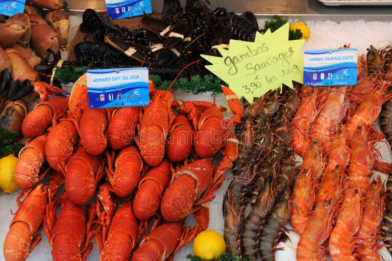 Langouste stock photo. Image of vitamin, langouste, fish - 11221340