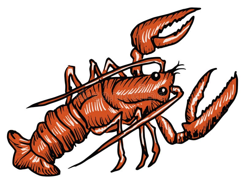 Langouste Illustration De Vecteur Illustration de Vecteur ...