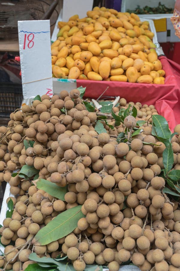 Langsat stock image. Image of market, farmers, longan - 121661077