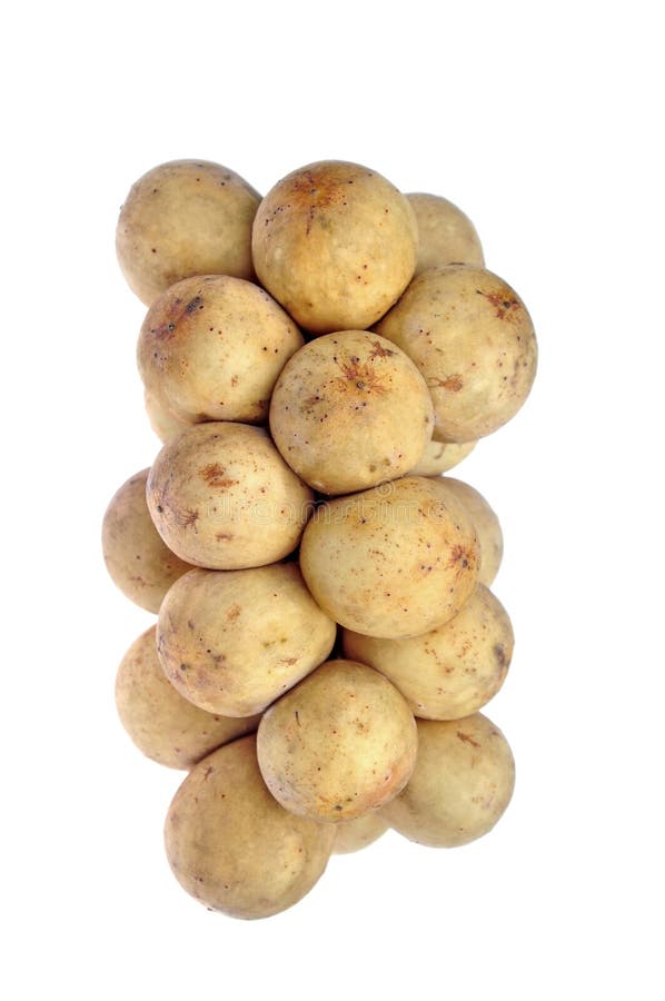 Langsat Fruit Isolated stock photo. Image of exotic, delicious - 6558254