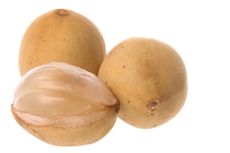 Langsat Fruit Isolated stock photo. Image of exotic, delicious - 6558254