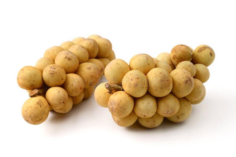 Langsat Fruit stock image. Image of freshness, agriculture - 45005959