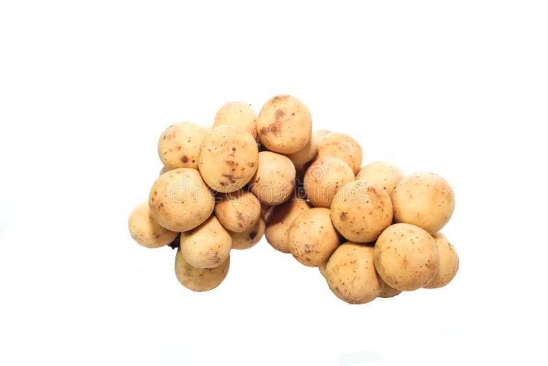 Langsat fruit stock image. Image of food, plant, fruit - 33577497