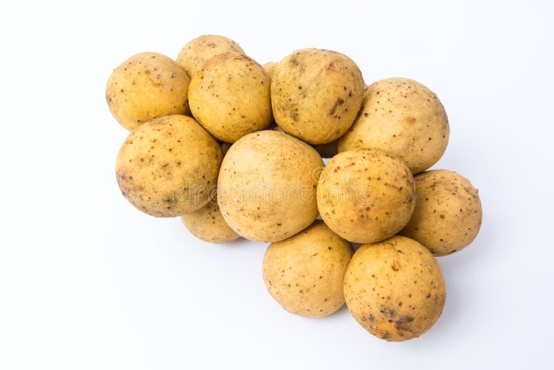 Langsat Fruit stock image. Image of healthy, nutrition - 33900311