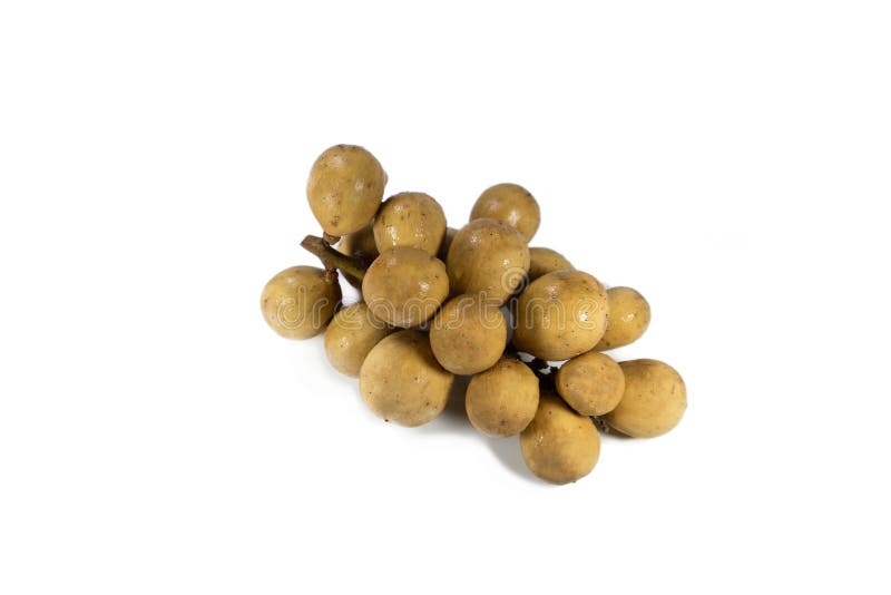 Langsat Fruit Isolated stock image. Image of sweet, snack - 6558269